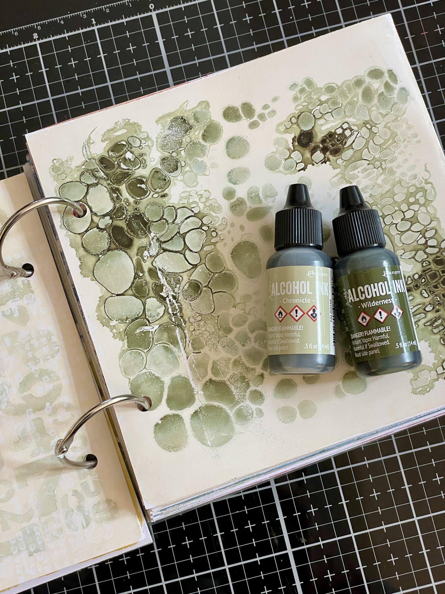 Zehn neue Tim Holtz Alcohol Inks, genau die haben mir gefehlt ...